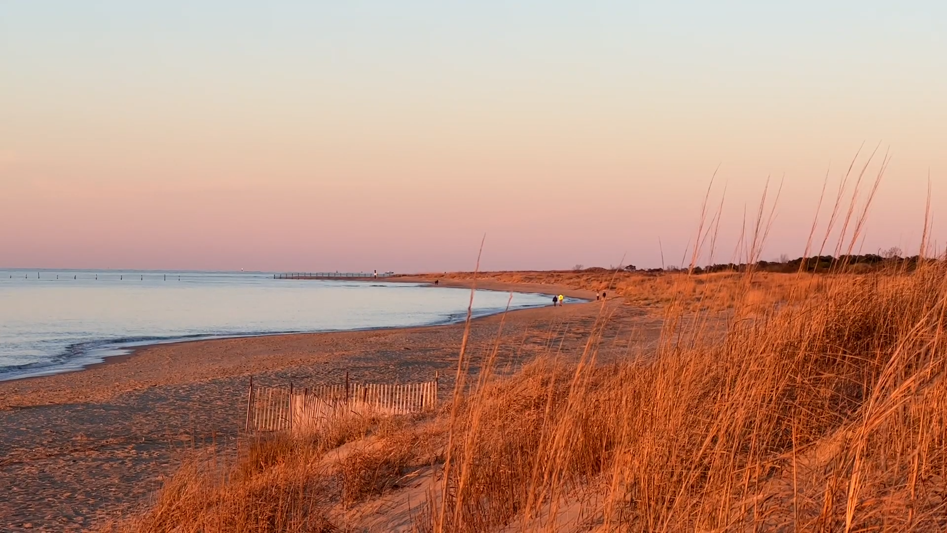 The Best Time of Year to Visit First Landing State Park - SouthSide Daily