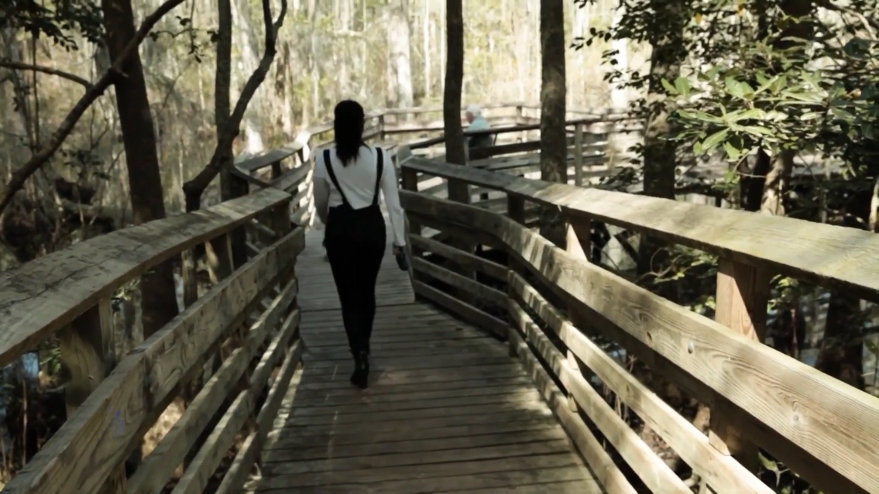 The Best Time of Year to Visit First Landing State Park - SouthSide Daily